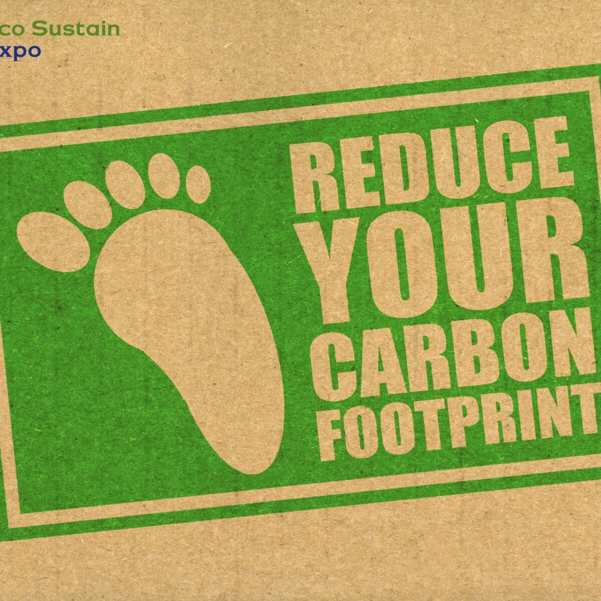 Zero-Waste Living: A Beginner's Guide - ECO SUSTAIN EXPO